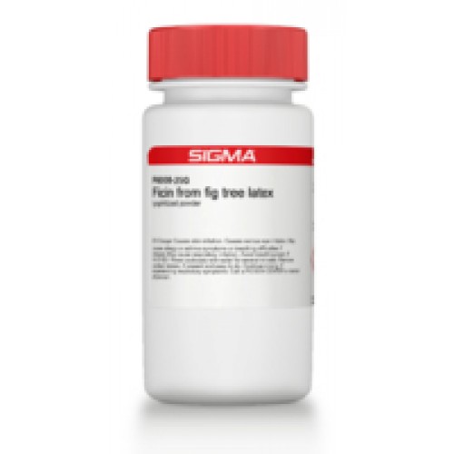 Ficin from fig tree latex powder, ≥0.1 unit/mg solid Sigma F4165